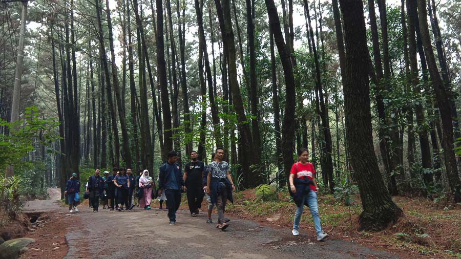 Tracking-Gunung-Pancar – The Carpenter Outdoor